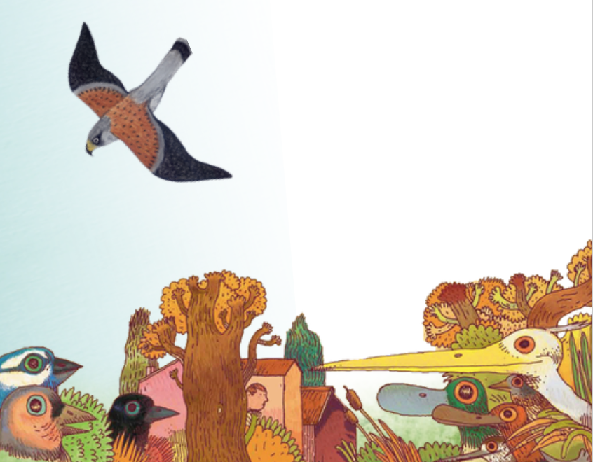 Scuola primaria e secondaria di primo grado | Lipu ODV